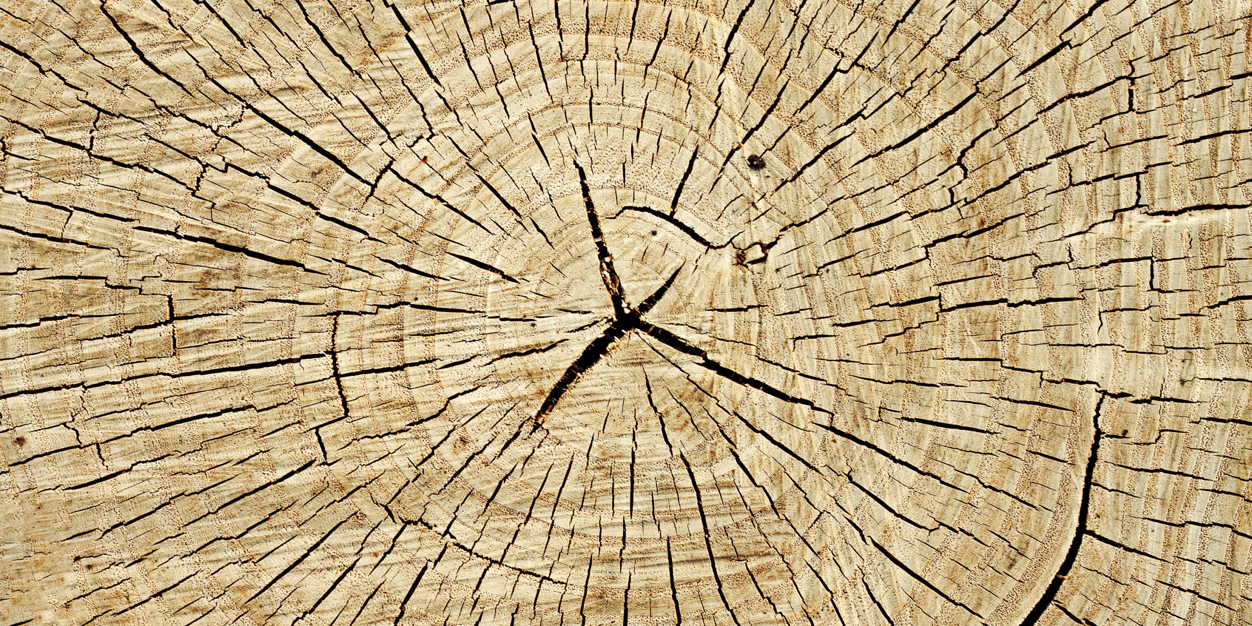 Bonnier Books UK launches new digital-first imprint Embla Books ...