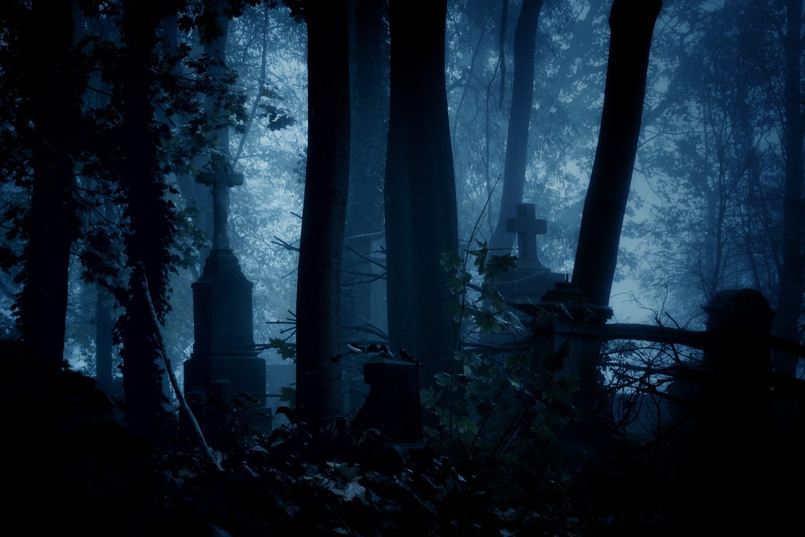 What haunts the masters of horror? - Bonnier Books