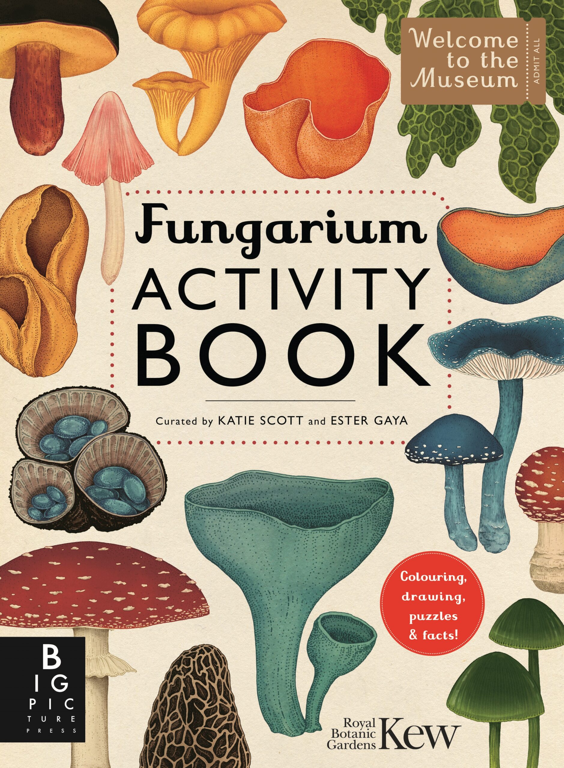Fungarium Activity Book - Bonnier Books