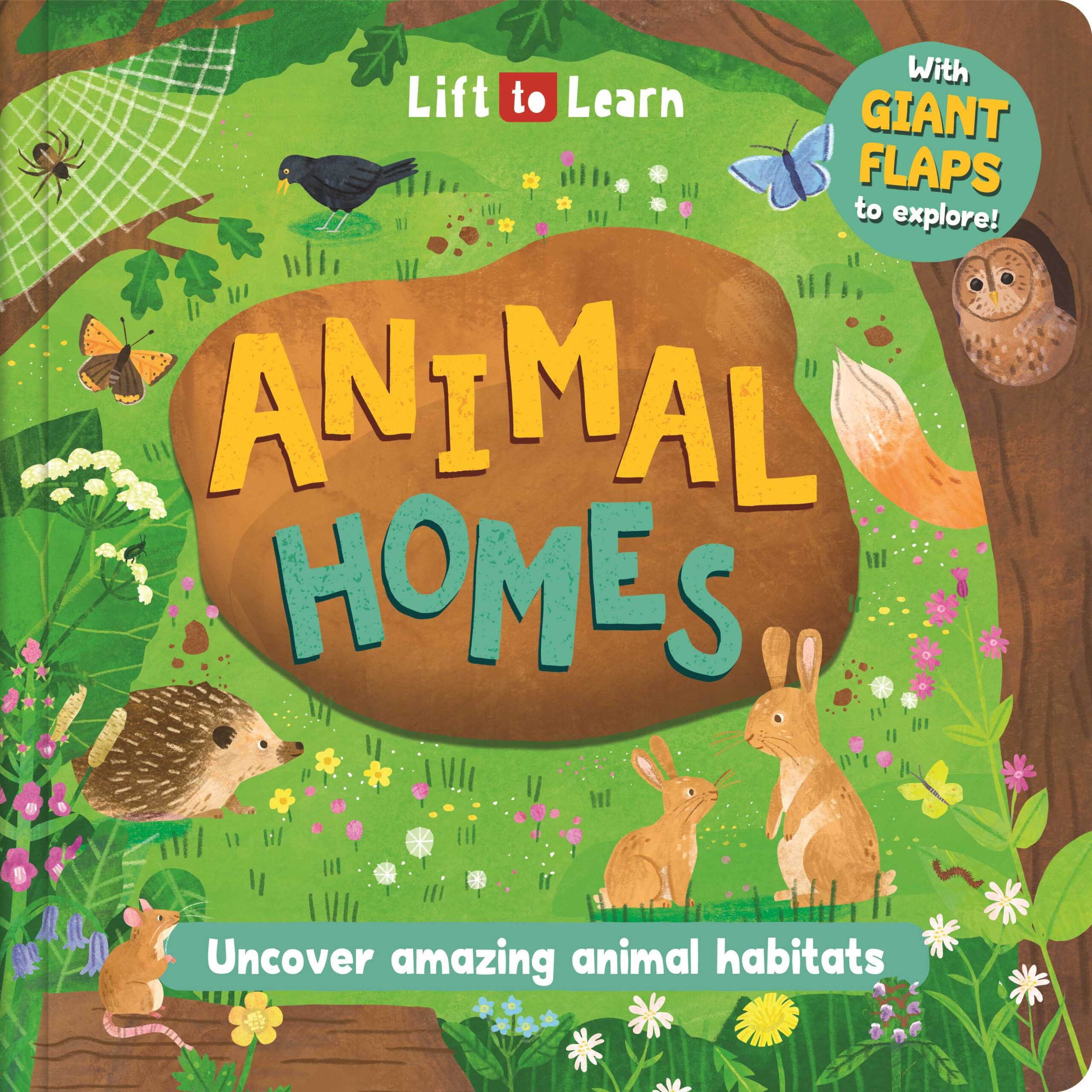 Animal Homes - Bonnier Books